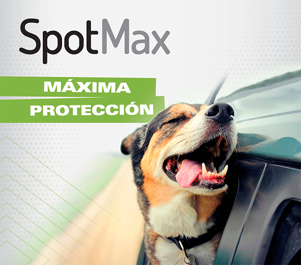 ¿Pensaron algunas vez en administrarse a ustedes mismos? - Revista 2+2