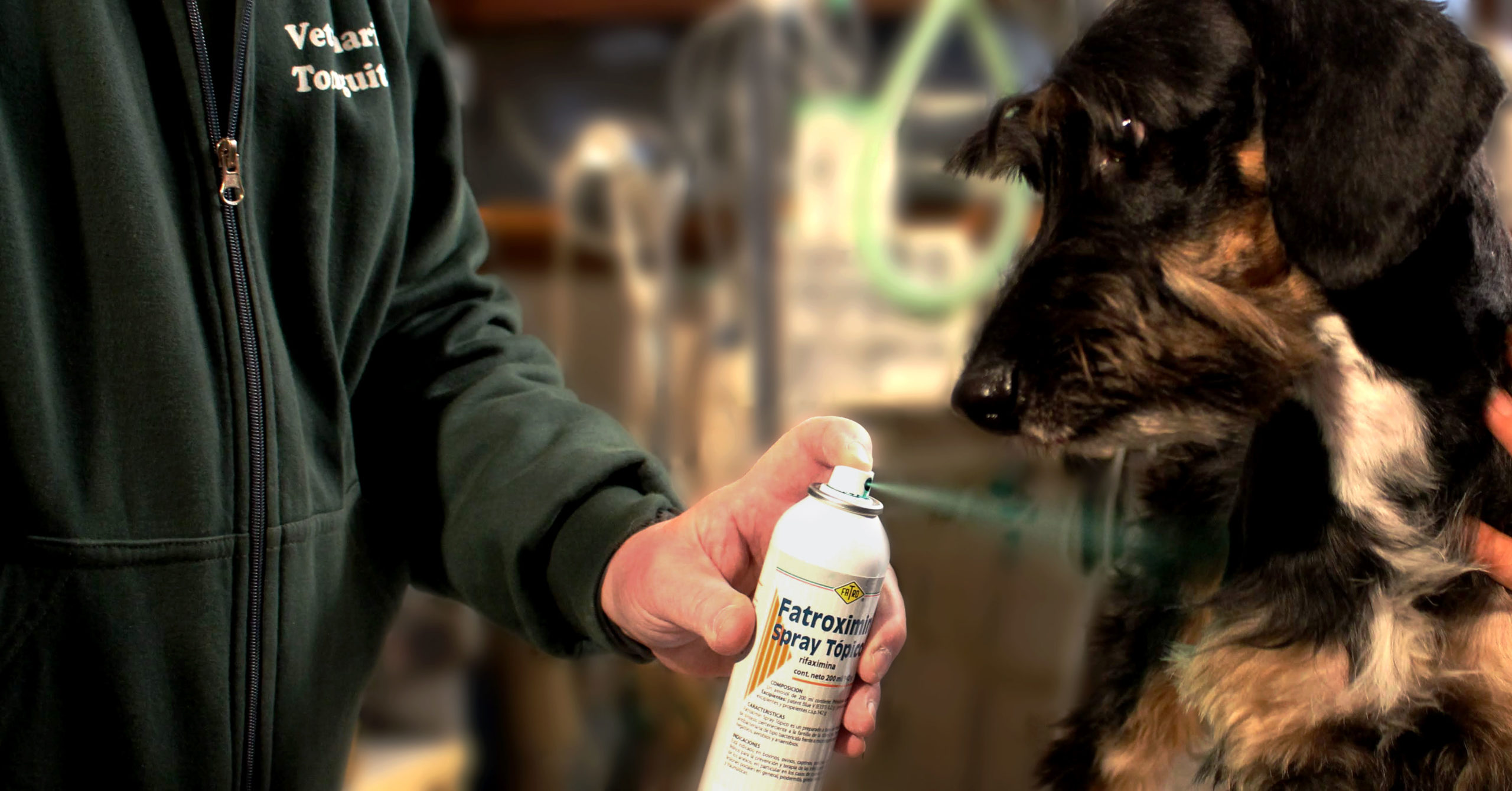 Más veterinarios se suman al buen uso de los antibióticos - Mi Negocio ...