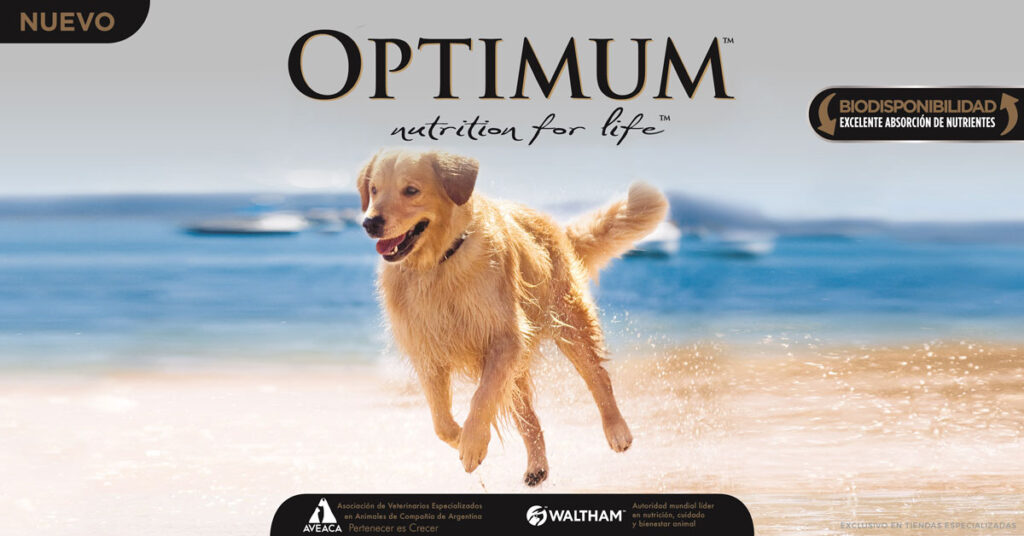 ¿Qué beneficios tiene OPTIMUM, la nueva línea de MARS? - Mi Negocio ...
