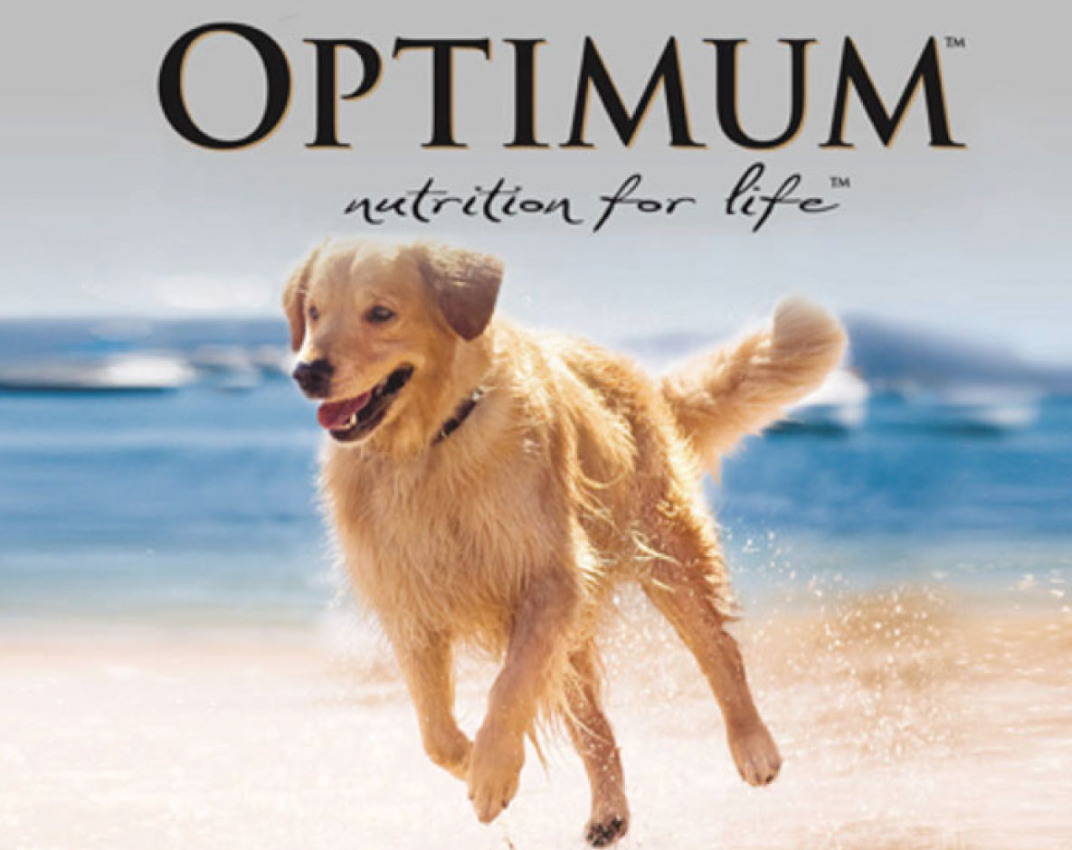 MARS presentó OPTIMUM en Argentina - Mi Negocio Veterinario