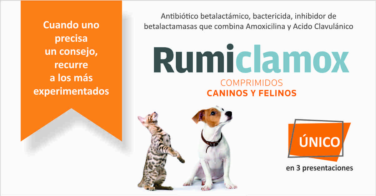 Koprofagia: El tratamiento completo para la coprofagia de origen ...