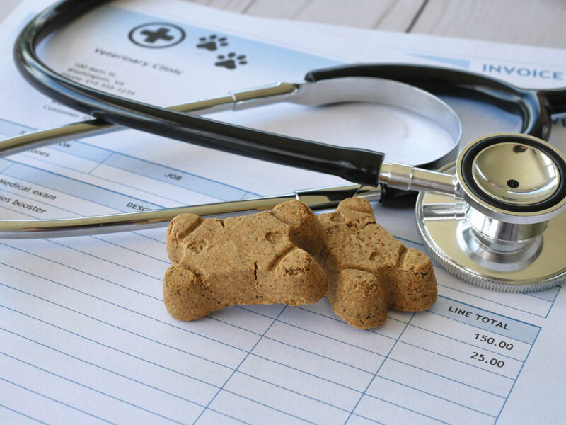 John Martin presentó Flexapet, “la evolución en salud articular” - Mi ...