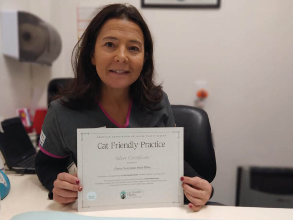 Cat Friendly, una tendencia federal y en crecimiento - Mi Negocio ...