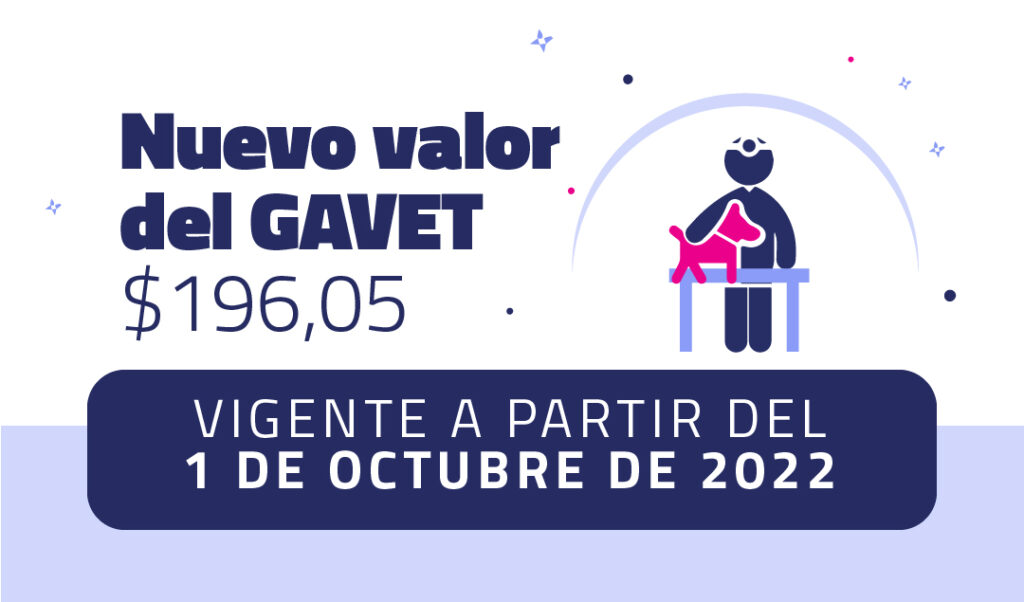 Honorarios: cambió el GAVET en Buenos Aires - Mi Negocio Veterinario