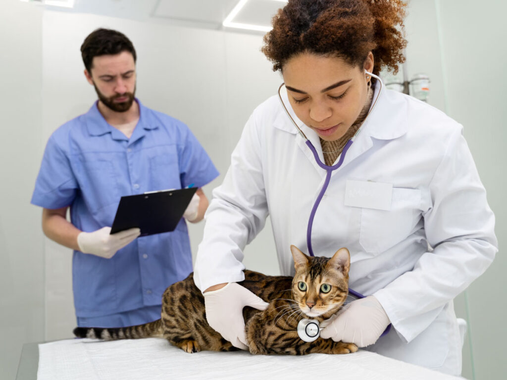Primer paso: la profesión veterinaria fue reconocida “de interés ...